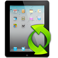 4Media iPad Max Platinum - Descargar