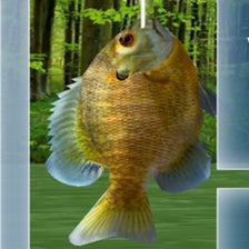 Wild Fishing King 3D Simulator: Flick Fish Frenzy para iPhone - Download