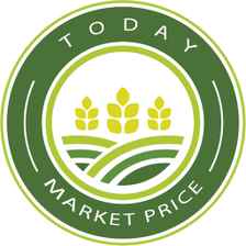 Today Market Price for Android - Download