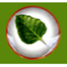 Bodhi Linux | Softonic