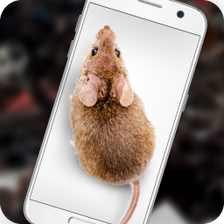 Mouse on Screen Scary Joke APK para Android - Descargar