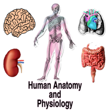 Human Anatomy and Physiology APK per Android - Download