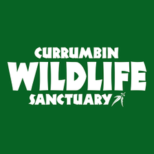 Currumbin Wildlife Sanctuary for Android - Download