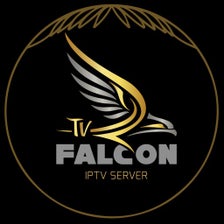 Falcon Gold TV for iPhone - Download