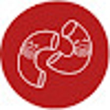 The 'roni para Google Chrome - Extensión Descargar