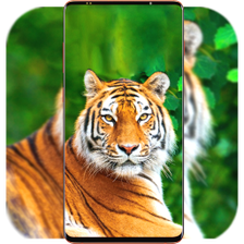 Animal Wallpaper HD pour Android - Télécharger