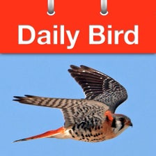Daily Bird - the beautiful bird a day calendar app for iPhone - Download