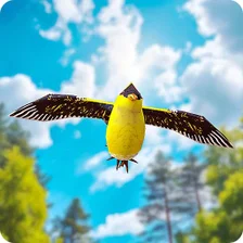 Flappy Eagle: Flying Bird Game for Android - Download