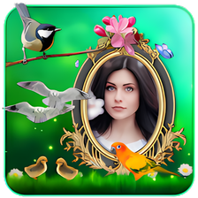 Birds 3D Live Wallpaper APK per Android - Download
