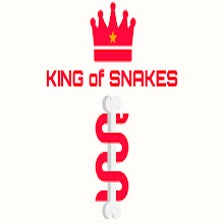 King Of Snakes Game for Google Chrome - Extension Download