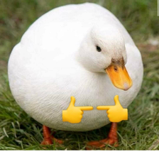 shuba duck para ROBLOX - Jogo Download