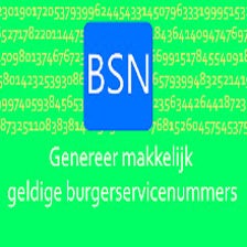 BSN generator helper for Google Chrome - Extension Download