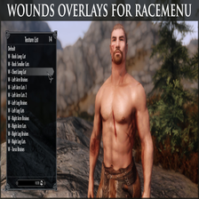 Wounds Overlays For RaceMenu LE for The Elder Scrolls V: Skyrim - Mod ...