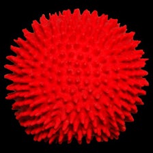 iSqueek - Dog Squeak Toys para iPhone - Descargar