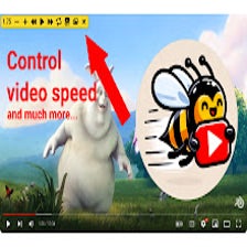 Bee fast video para Google Chrome - Extensión Descargar