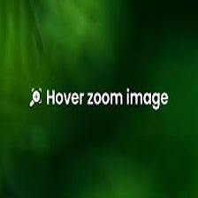 Hover zoom image for Google Chrome - Extension Download