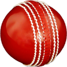 Cricket All-rounder Practice for Android - Download