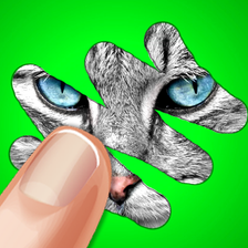 Scratch Game: Animals Quiz APK para Android - Descargar