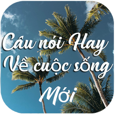 Câu nói hay về cuộc sống APK para Android - Descargar