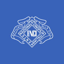 Android için Enci Mobile - İndir