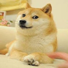 Doge Meet Google Chrome 용 - 확장 프로그램 다운로드