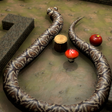 Nova Snake 3D APK สำหรับ Android - ดาวน์โหลด