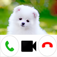 Pomeranian Dog Video Call Simulator สำหรับ Android - ดาวน์โหลด
