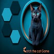 Catch the Cat Game for Google Chrome - Extension Download