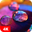 Macro Wallpapers 4K for Android - Download