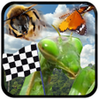 Android için Insect Race - İndir