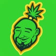 Green Genie: Medical Marijuana for iPhone - Download