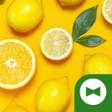 Lemon Yellow Theme cho Android - Tải về