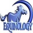 Equine Anatomy Learning Aid for iPhone - Download