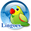 Lingoes - İndir